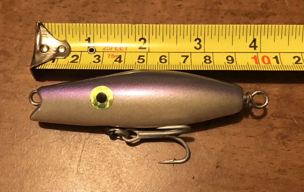 Darters – Rocksimpson Surf Fishing